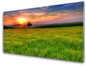 Obraz na skle Louka Slunce Příroda 125x50 cm