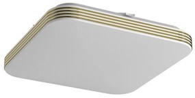 Stropní LED svítidlo Dabar, 1x LED 11w, 4000k, g