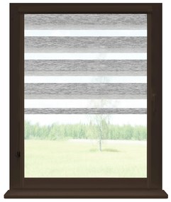 Dekodum Roleta den a noc v hnědé kazetě premium, barva látky Stříbro Šířka (cm): 100, Výška (cm): Standardní (do 150 cm), Strana mechanismu: Práva