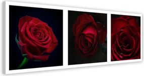 Gario Obraz na plátně Červené růže Rozměry: 90 x 30 cm