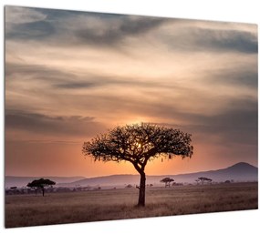 Skleněný obraz západu slunce v Tanzanii (70x50 cm)