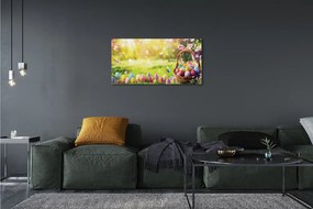Obrazy na plátně Basket vejce květina louka 120x60 cm