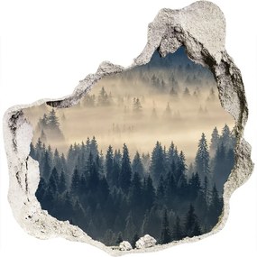 Wallmuralia Díra 3D ve zdi nálepka Mlha nad lesem 75x75 cm