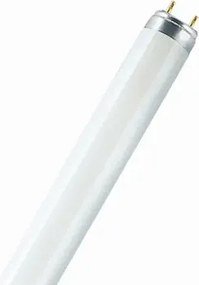 Osram LUMILUX Lineární zářivka T8 G13 / 97 cm / 36W / 4000 K