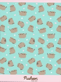 Mátová Velká Deka Pusheen The Cat Originál Licence