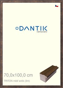 DANTIK rámeček 70x100 | TRITON měď antik (Plexi Čiré)