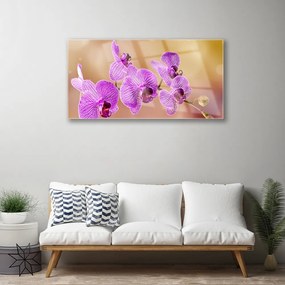Obraz na skle Orchidej Výhonky Květiny Příroda 125x50 cm