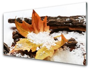 Obraz na skle List Les Podzim Příroda 100x50 cm