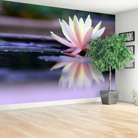 Fototapeta lotus 104x70