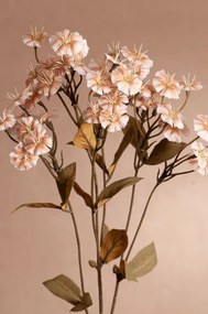 Paramit DRY DIANTHUS Aranžovací květina krémová 65 cm