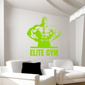 Živá Zeď Samolepka na zeď Elite Gym Barva: černá