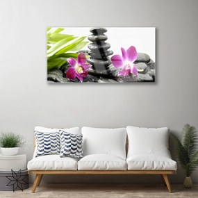 Plexisklo-obraz Kameny Zen Lázně Orchidej 100x50 cm
