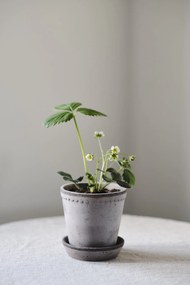Malý květináč Helena s podstavcem 21 cm šedý
