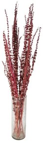 Sušené květy červené 85 cm (100 gr) – 85 cm
