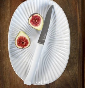 Opinel Bon Appetit + steakový nůž s polymerovou rukojetí 11 cm, šedobílý, 001900