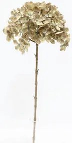 XXXLutz UMĚLÁ KVĚTINA 64 cm - Umělé květiny - 001131036304