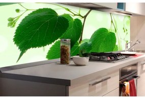 DIMEX | Fototapeta do kuchyně Zelené listy KI-180-010 | 180 x 60 cm | zelená