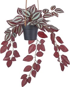 Butlers FLORISTA Tradescantia zebrina v květináči 50 cm