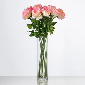 Dlouhá sametová růže TINA v krémové a růžové barvě. Cena je za 1 kus.
