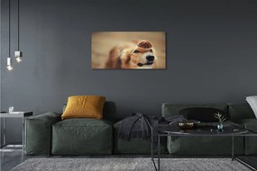 Obrazy na plátně dog bun 120x60 cm