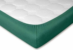 DADKA Jersey prostěradlo šalvěj Rozměr 90x200x25