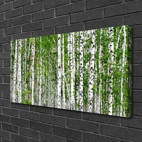 Obraz na plátně Bříza Les Stromy Příroda 125x50 cm