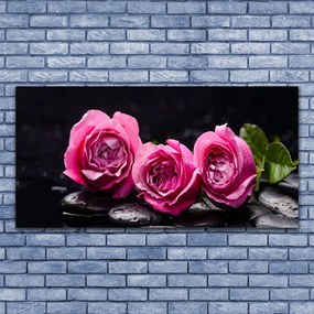 Plexisklo-obraz Růže Kameny Zen Lázně Příroda 120x60 cm