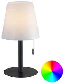 Redo 90166 - LED RGB Venkovní stmívatelná stolní lampa PINO LED/2,6W/230V IP44