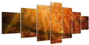 Obraz podzimního lesa (210x100 cm)