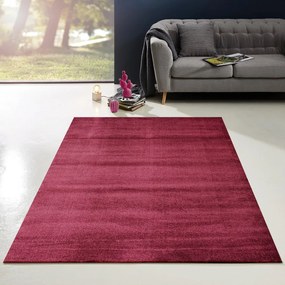 Hans Home | Kusový koberec Enjoy 800 Cherry - 80x150