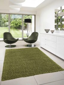 Vopi | Kusový koberec Dream Shaggy 4000 green - Kulatý 120 cm průměr