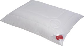 XXXLutz POLŠTÁŘ, 40/60 cm Hefel Textil - Polštáře pod hlavu - 004636001701