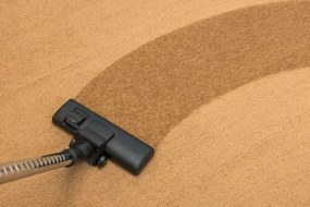 Koberec Eritme N001 terakota