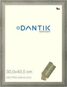 DANTIK rámeček 30x40 | DELFINO stříbrná (Plexi Čiré)