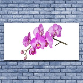 Plexisklo-obraz Vstavač Orchidej Květiny 120x60 cm