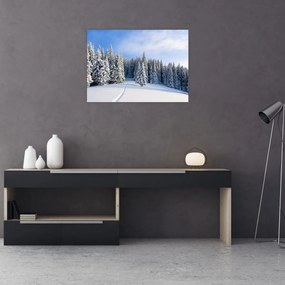 Obraz - Zima v lesích (70x50 cm)