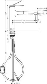 Hansgrohe - Dřezová baterie 160, s výsuvnou sprškou, chrom