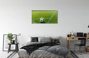 Obrazy na plátně Fotbalový stadion trávy 100x50 cm