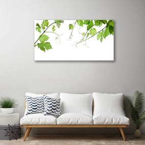 Obraz na plátně Větve Listy Příroda Květiny 100x50 cm