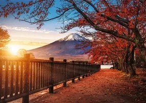 Trefl - Puzzle - Premium Plus Photo Odyssey: Hora Fuji. Japonsko / 100