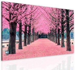 Obraz růžová alej Velikost (šířka x výška): 30x20 cm