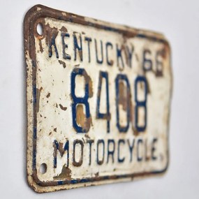 Americká SPZ Kentucky 1966 White 8408 moto
