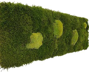 WOODILO Mechový panel | přírodní dlouhovlasý plochý mech | světle zelený kopečkový mech Rozměr: 200x80 cm (dodáno na dvě navazující části), Aplikace na stěnu: Bez závěsu (vlastní nalepení např. lepidlem Mamut)