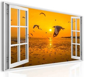 3D obraz okno s racky Velikost (šířka x výška): 120x80 cm