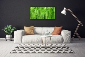 Obraz na plátně Bambus Stonek Květ Rostlina 120x60 cm