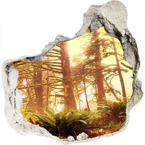 Wallmuralia Díra 3D ve zdi nálepka Deštný prales 75x75 cm