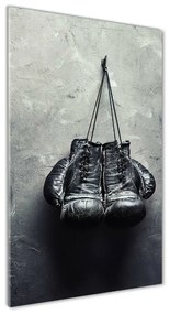 Wallmuralia Vertikální Fotoobraz na skle Boxerské rukavice 50x100