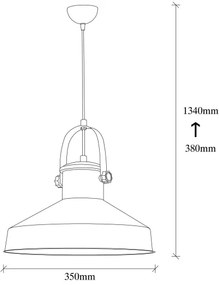 Lustr na lanku DODO 1xE27/40W/230V bílá/bronzová