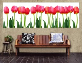 Dvoudílná vliesová fototapeta Záhon tulipánů, rozměr 375x150cm, MP-2-0126
