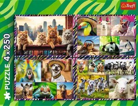 TREFL Puzzle Zábavná zvířata / 4x 250 dílků / od 7 let